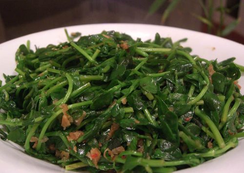 Cây Rau Đắng Đất - Hình Ảnh, Công Dụng và Cách Dùng Trị Bệnh