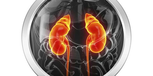 Biến Chứng Bệnh Lupus Ban Đỏ (Thận, Tim, Phổi, Thần Kinh)