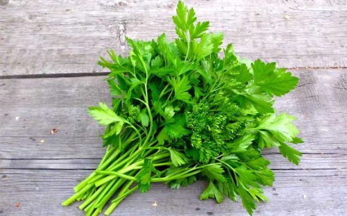 13 Loại rau thơm người Việt hay dùng và công dụng với sức khoẻ