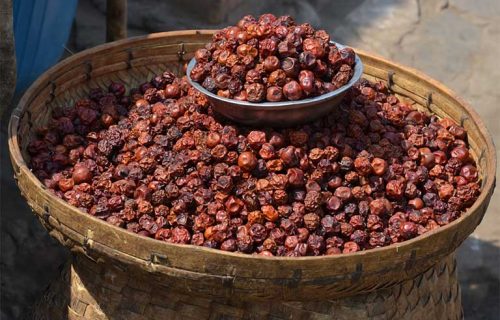 Toan Táo Nhân - Công Dụng Và Cách Dùng Vị Thuốc