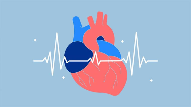 Nhịp tim 50 có sao không? Liệu có nguy hiểm? - Thuốc Dân Tộc